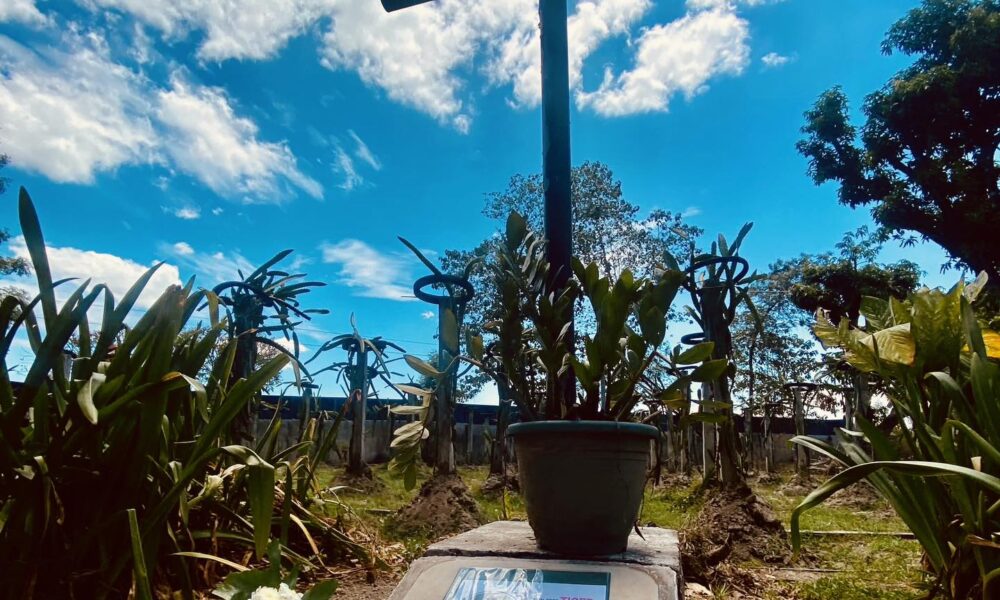 Dog stabbed to death by vendor in Subic - InsideGapo